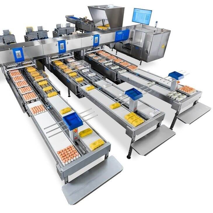 Products | Milli Pack Processing & Packaging Machines