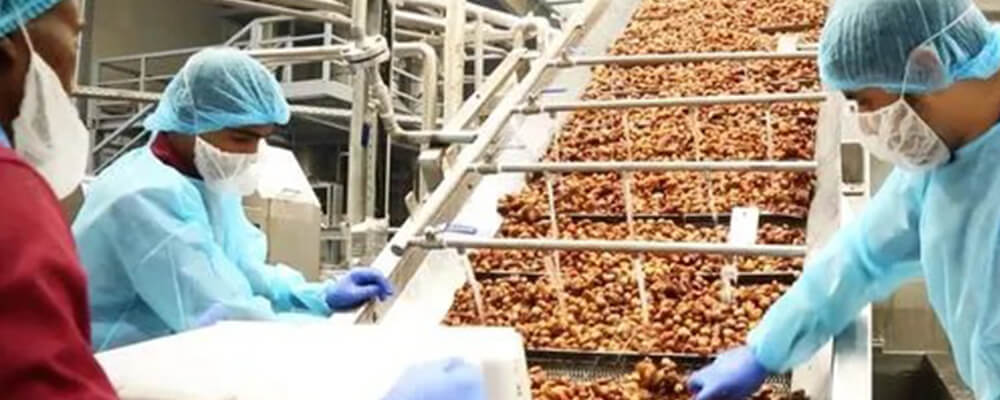 Products | Milli Pack Processing & Packaging Machines