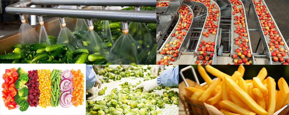 Products | Milli Pack Processing & Packaging Machines